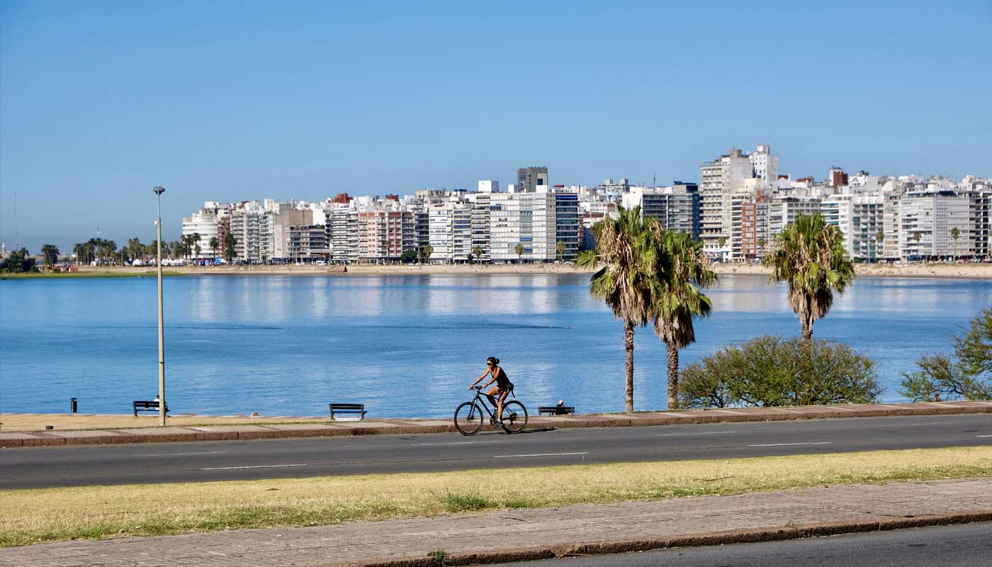 Flashes Give Back Week